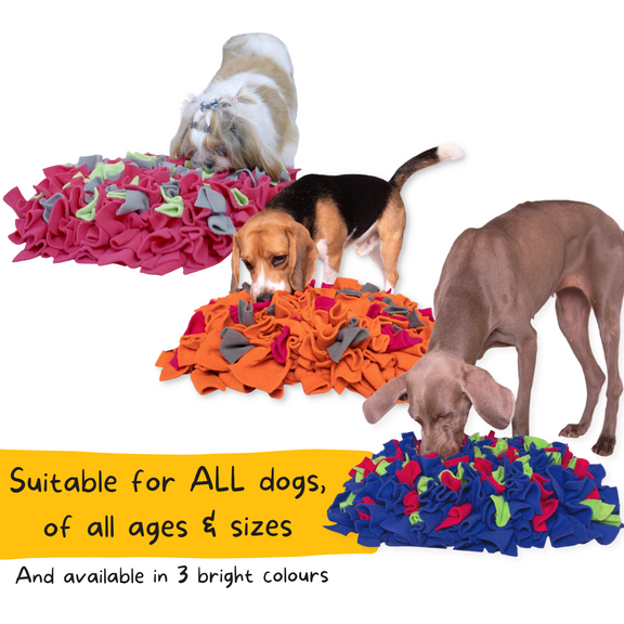 SNIFFER MATS – For the love of Dog